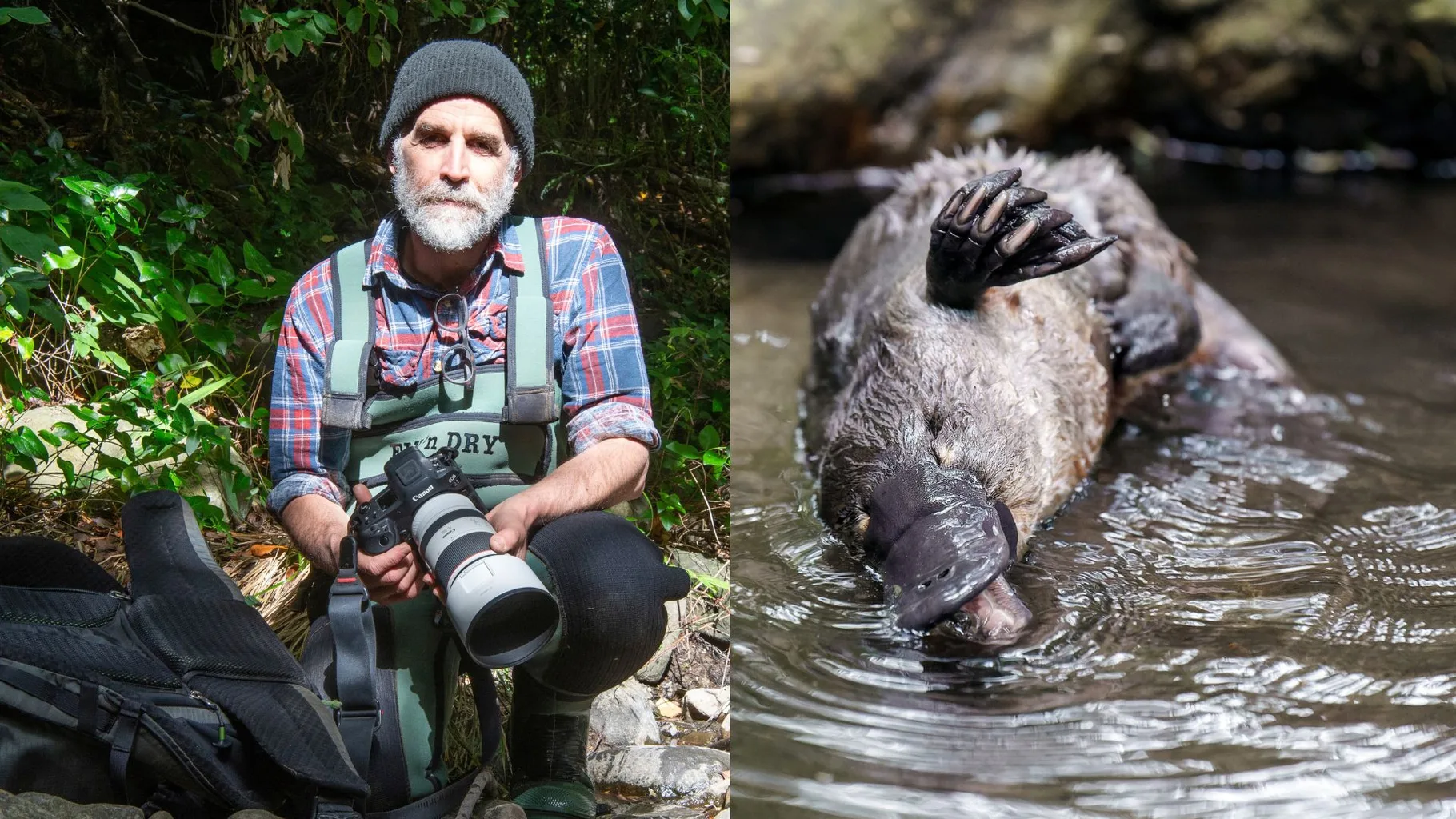 Pete Walsh: The Accidental Conservationist