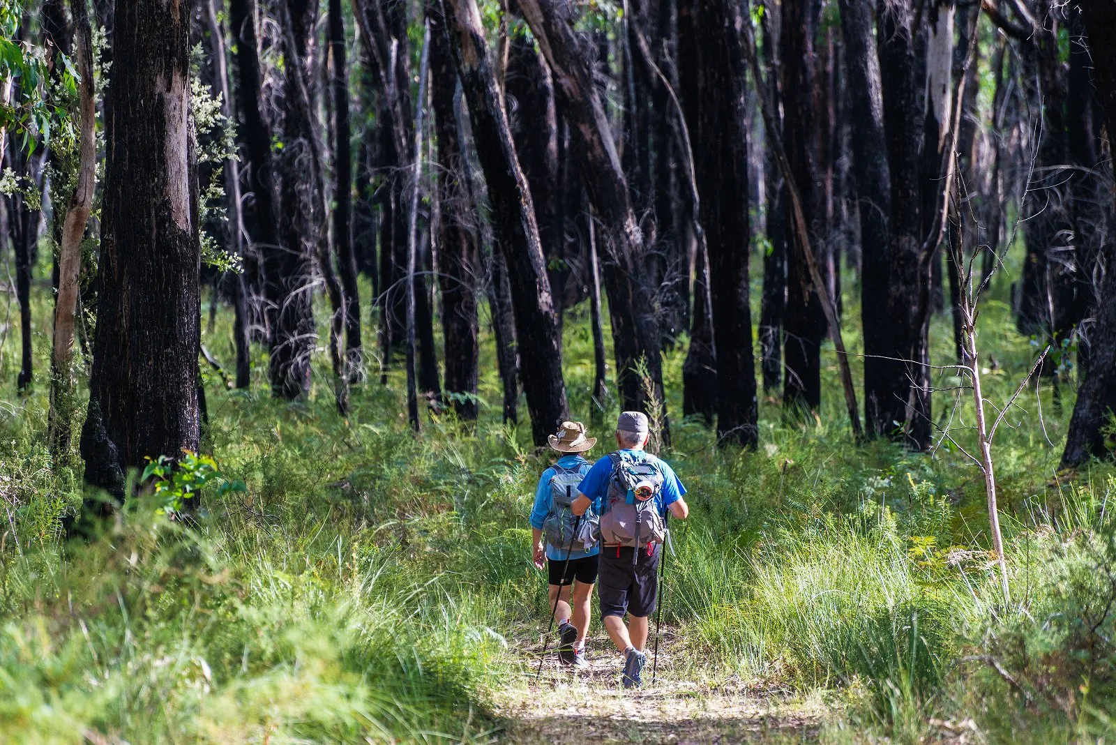 12 of the best walking trails around Australia | AWW