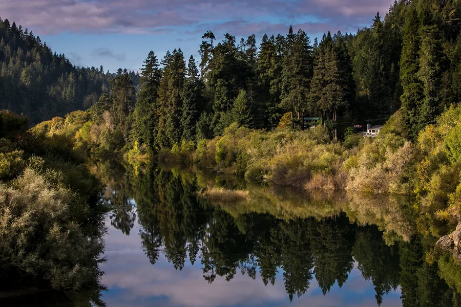 Inside the secret billionaire Bohemian Club - AWW