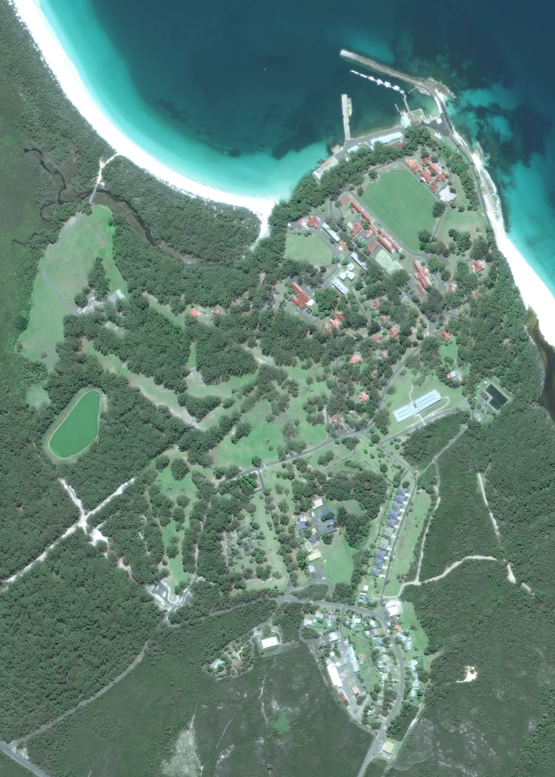 Behind the Documentary 'How to Poison a Planet'