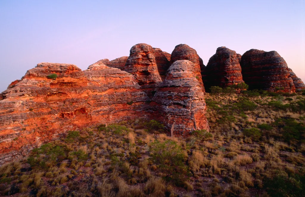 Everything you need to know about Ord Valley Muster | AWW