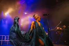 Electric Fields Spreads Love at Eurovision