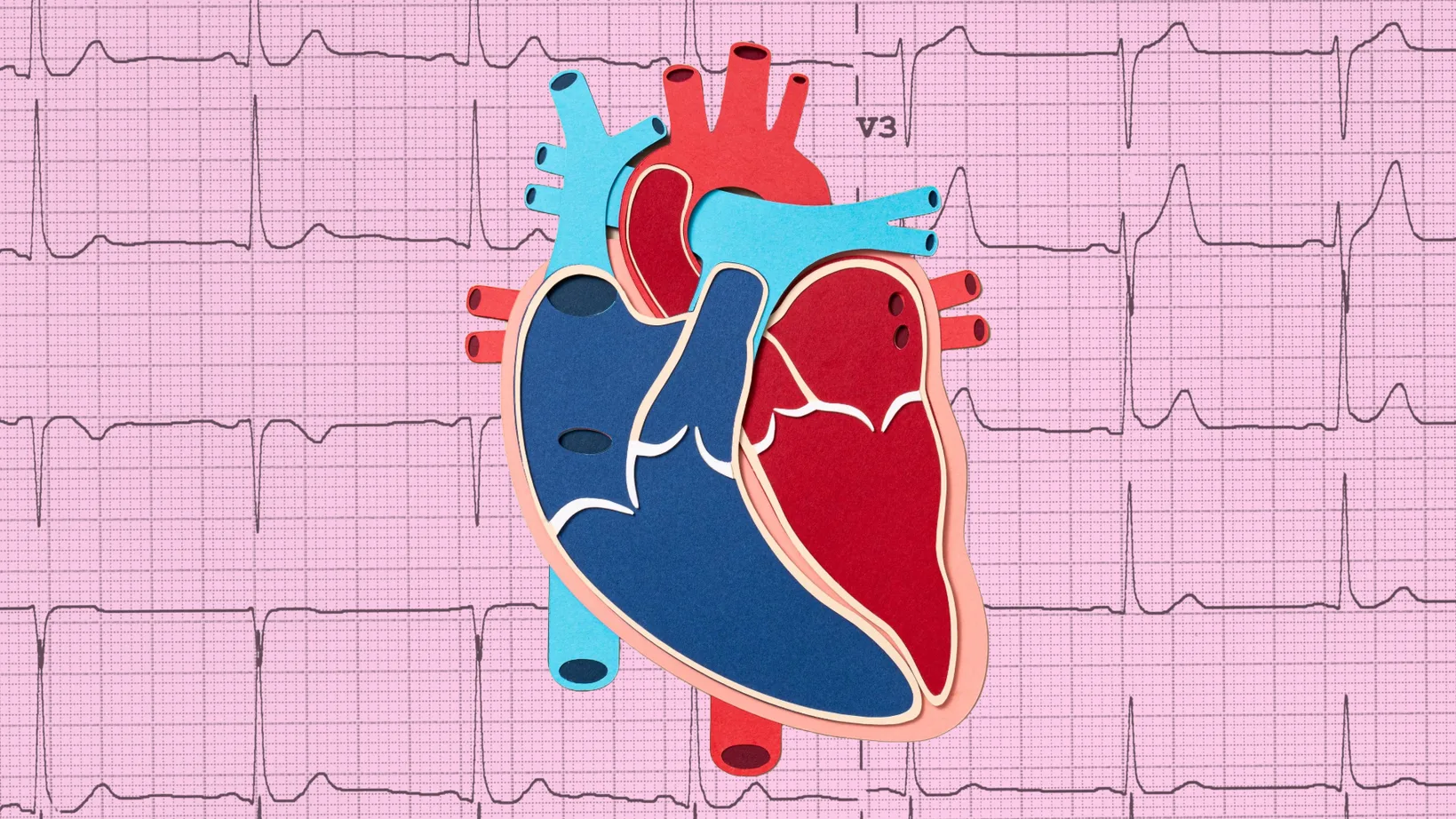 What Your Heart Rate Reveals About Your Health