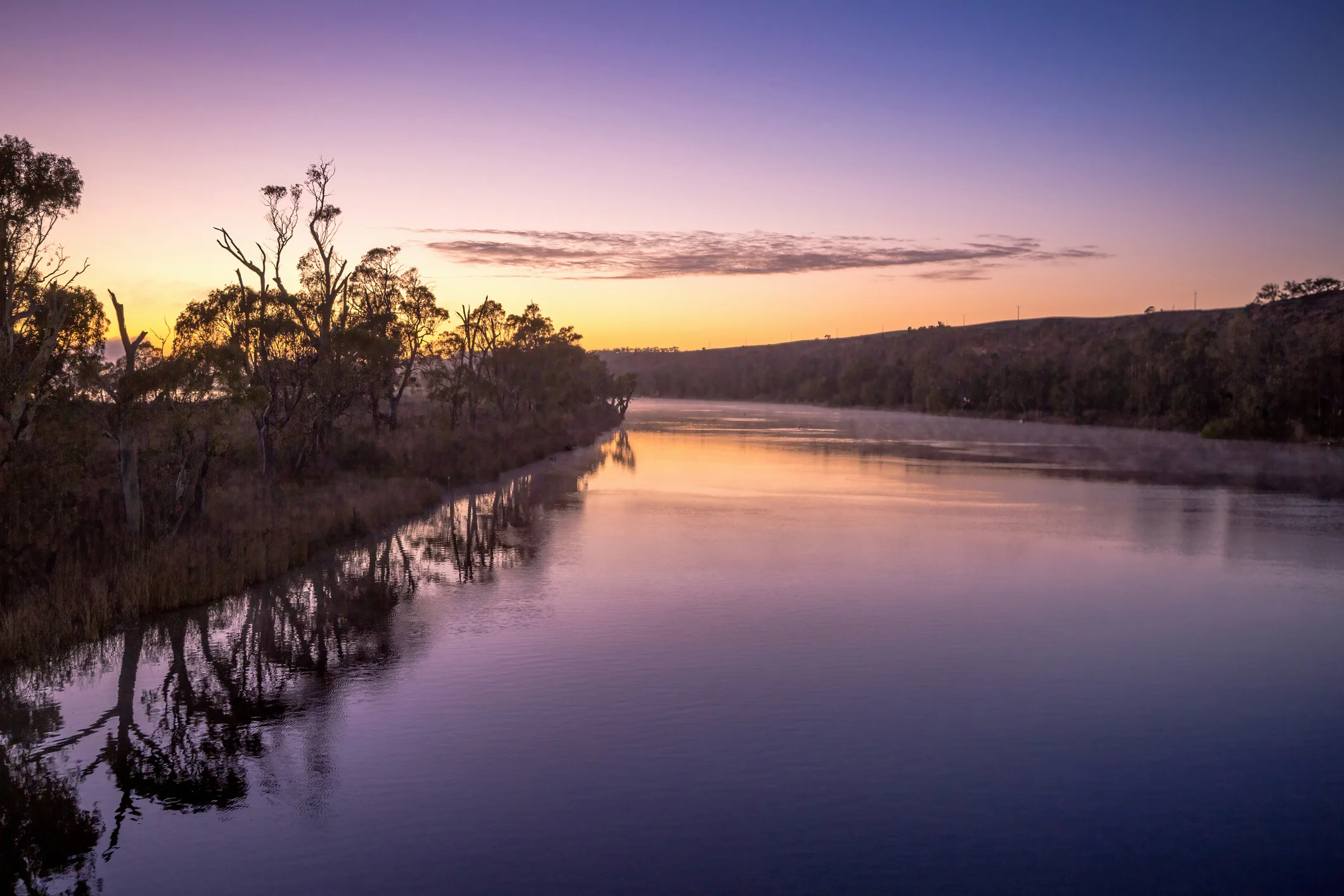 The best Murray River cruises | AWW