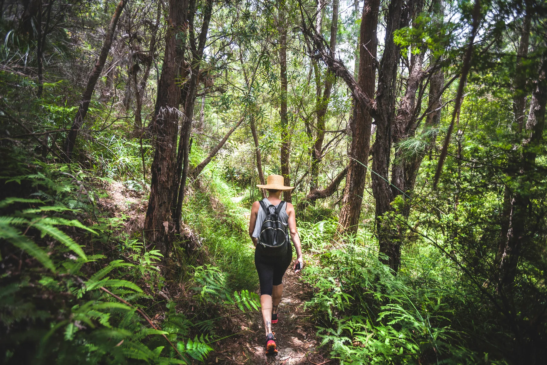 The best walking trails across Queensland | AWW