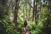 The best walking trails across Queensland | AWW