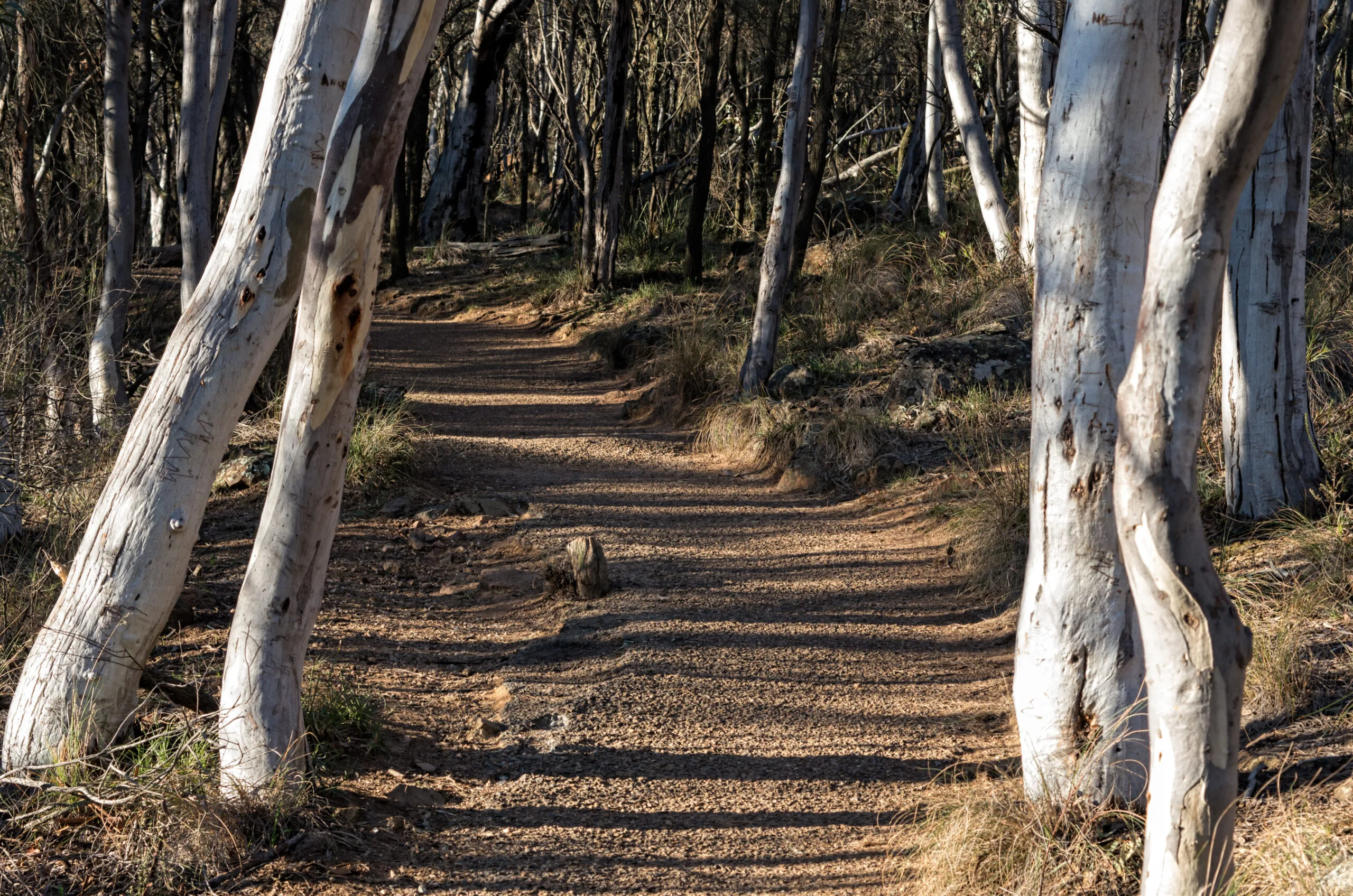 The 5 best walking trails in the ACT | AWW