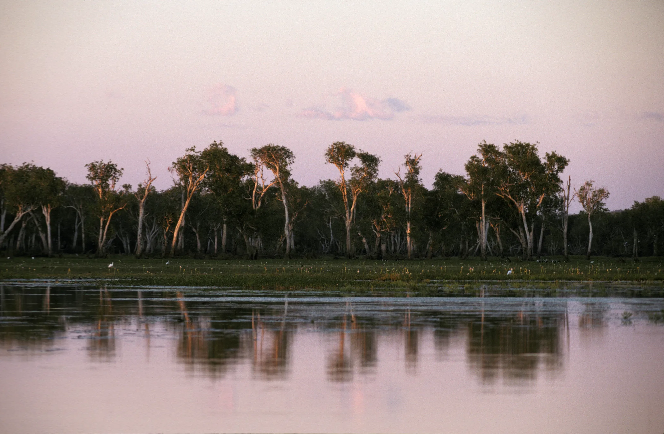 National parks Northern Territory: Five parks not to miss | AWW