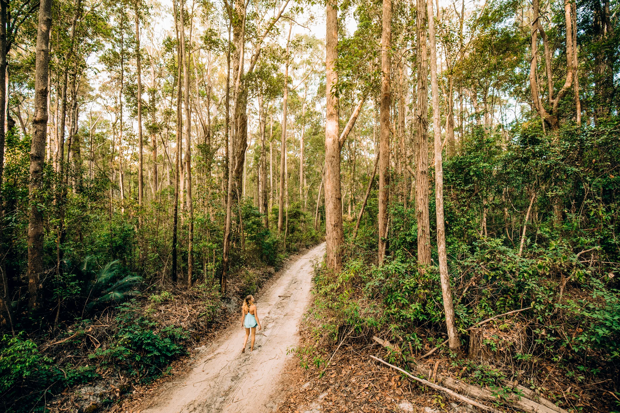 The best walking trails across Queensland | AWW