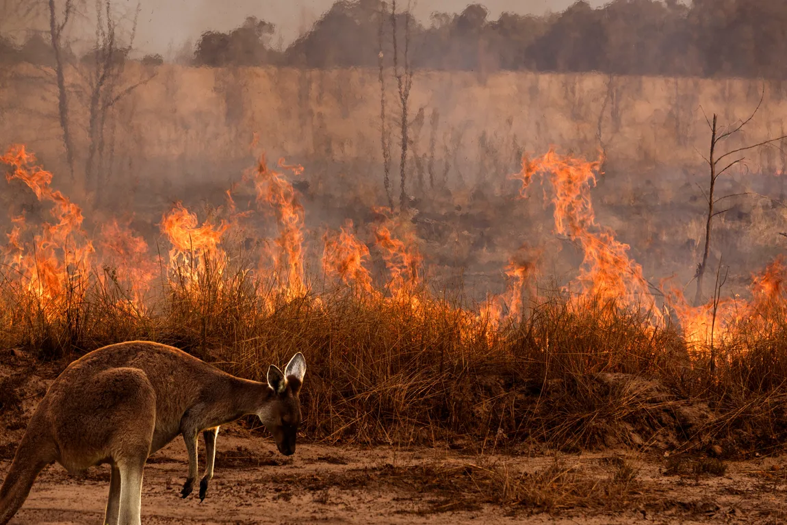 Protecting Against Bushfire Smoke This Hot Summer