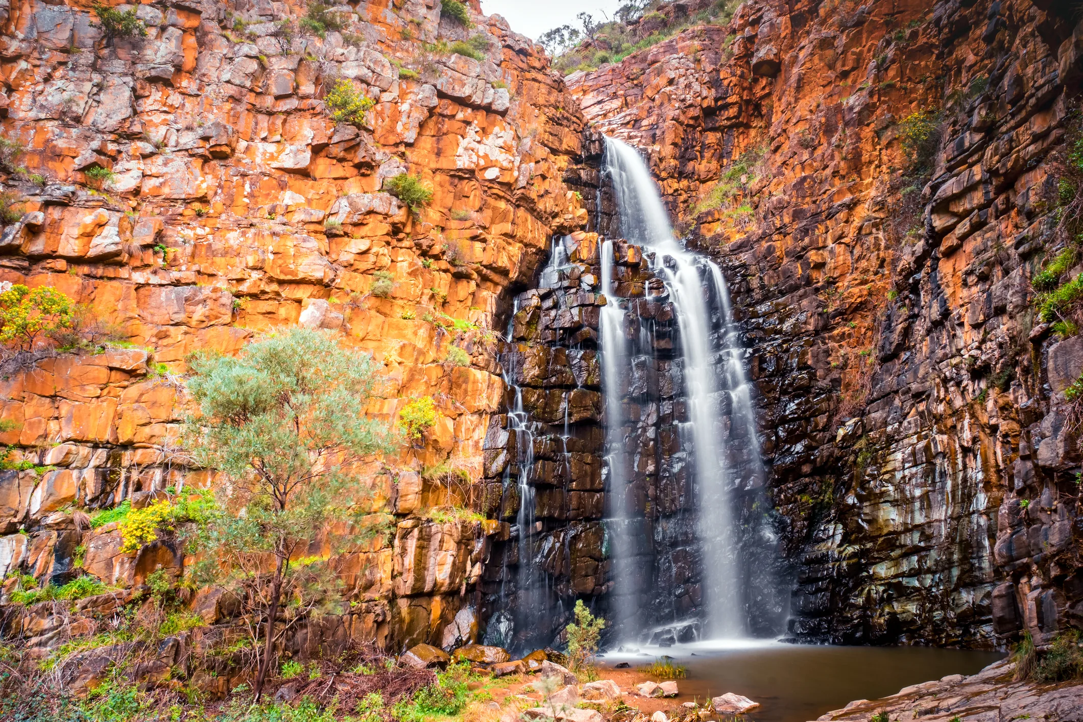 All the best walking trails across Adelaide | AWW