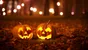 What is Halloween? | AWW
