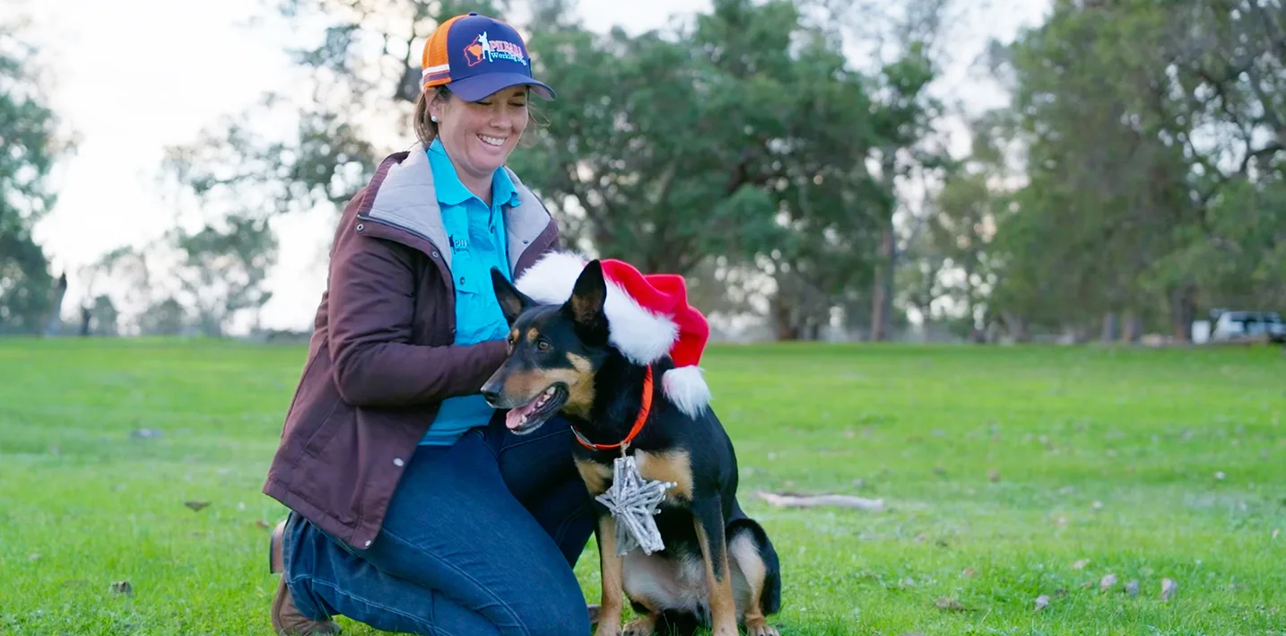 Muster Dogs is returning to our screens in 2026 - The Australian Women ...