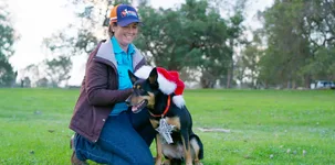 Muster Dogs is returning to our screens in 2026 - The Australian Women ...