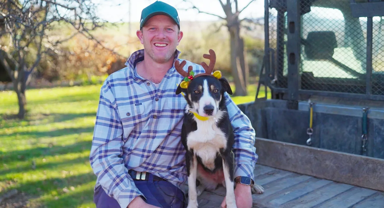 Muster Dogs: Where are they now?