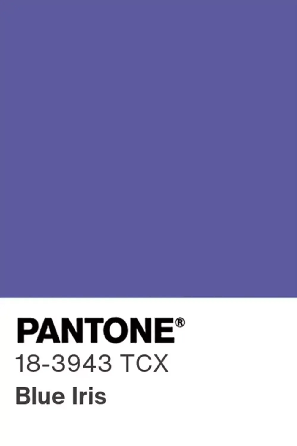 The Pantone Colour of the Year divides opinions - The Australian Women ...