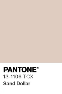 The Pantone Colour of the Year divides opinions - The Australian Women ...