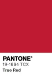 The Pantone Colour of the Year divides opinions - The Australian Women ...