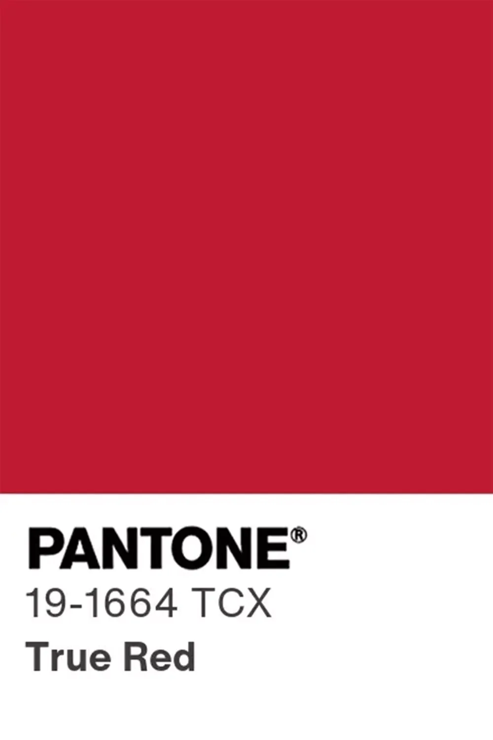 The Pantone Colour of the Year divides opinions - The Australian Women ...