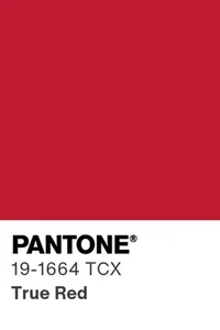 The Pantone Colour of the Year divides opinions - The Australian Women ...
