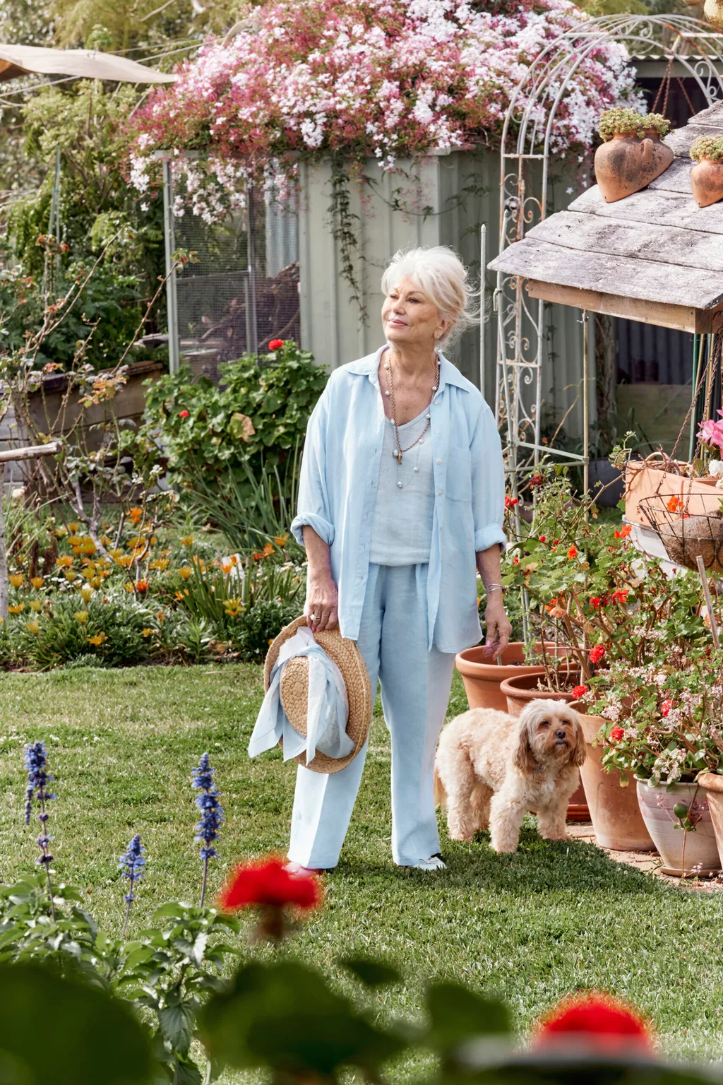Author Di Morrissey says she'll never stop writing | AWW