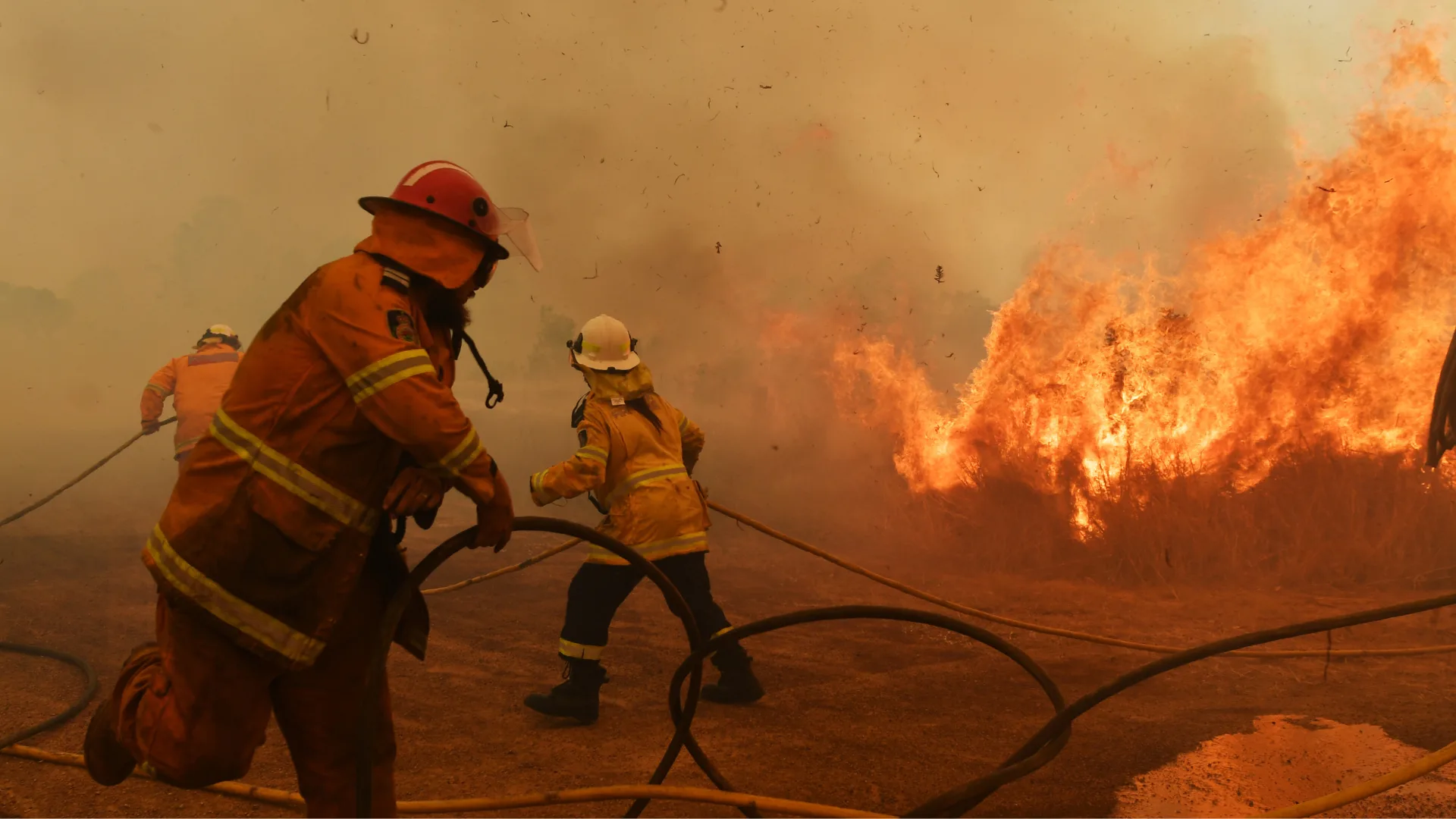 How do you prepare for a bushfire? | AWW