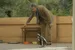 EXCLUSIVE: Steve Coogan talks The Penguin Lessons | AWW