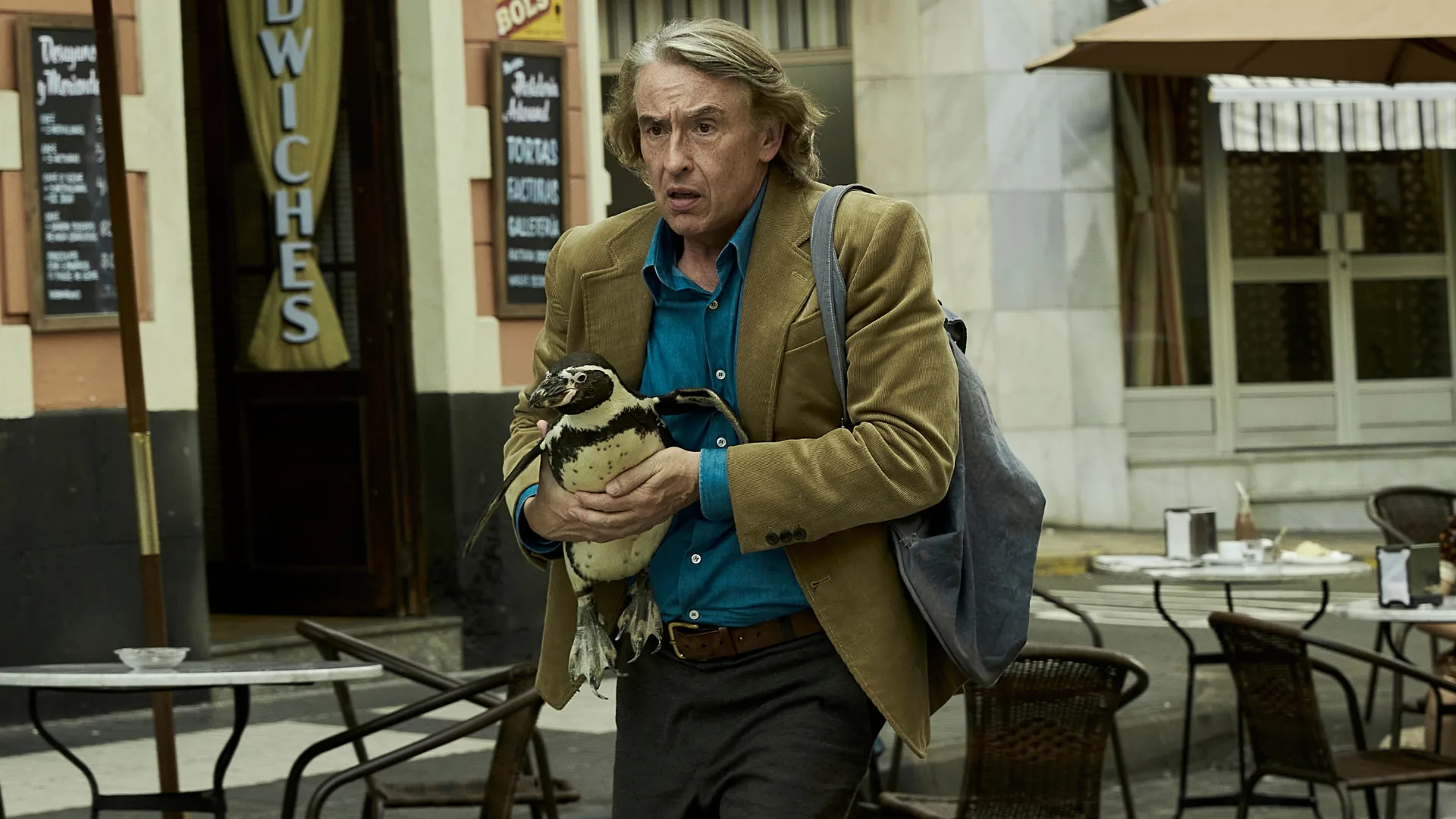 EXCLUSIVE: Steve Coogan talks The Penguin Lessons | AWW