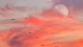 What is the Strawberry Full Moon? - The Australian Women's Weekly