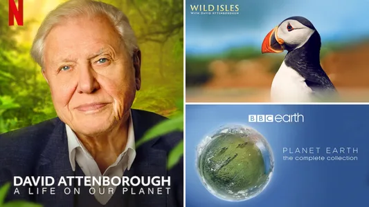 Best David Attenborough documentaries - The Australian Women's Weekly