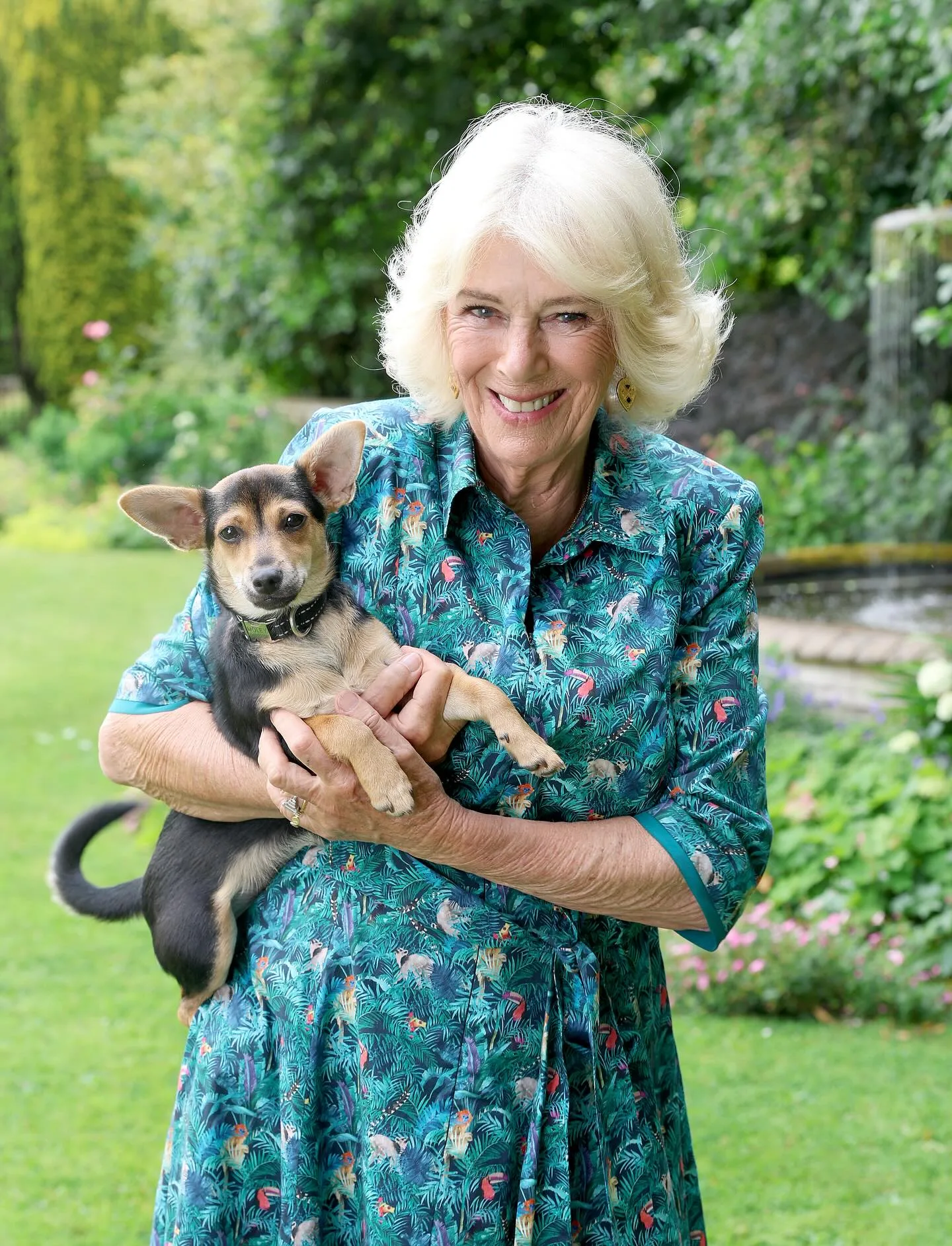 King Charles and Queen Camilla news: Stay up to date! | AWW