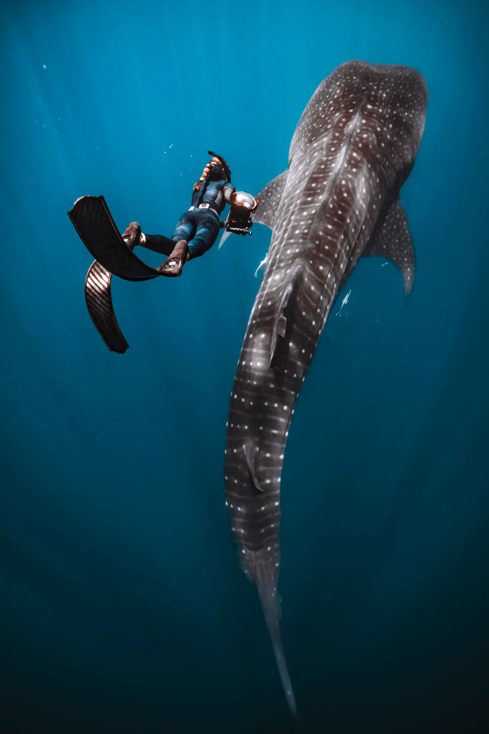 Shipwreck Hunters Australia: Nush Freedman dishes on season 2