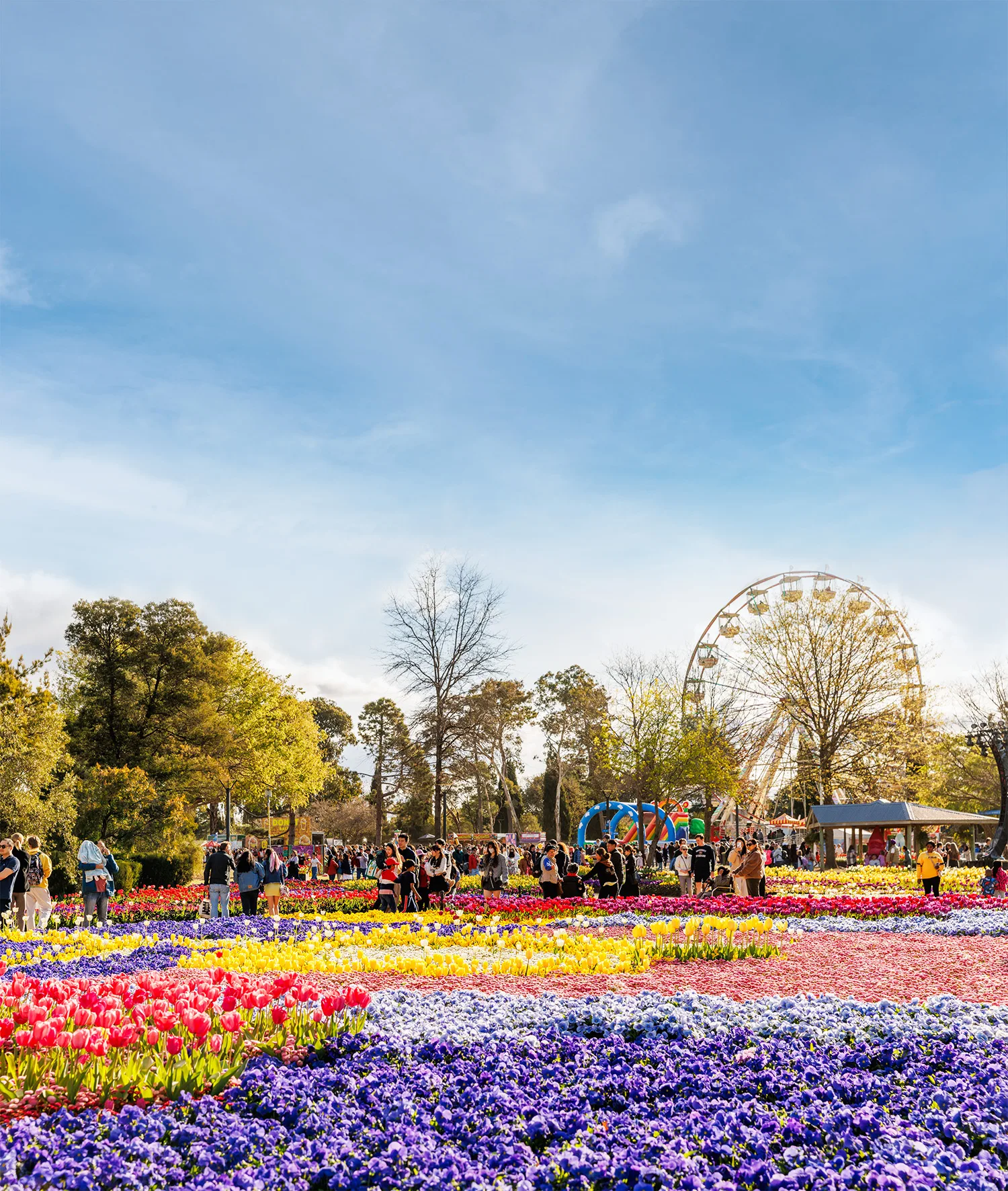 The best flower festivals to visit across the globe - The Australian ...