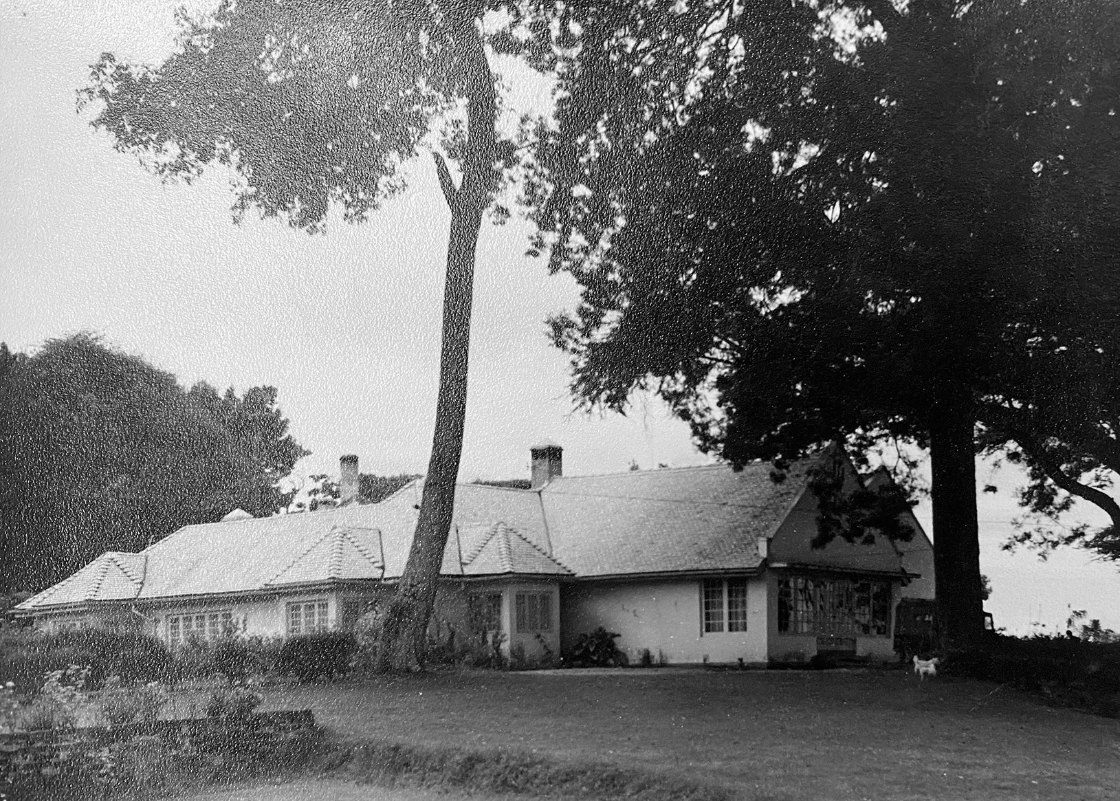 Who was Australia's forgotten duchess, Nell Stead? | AWW
