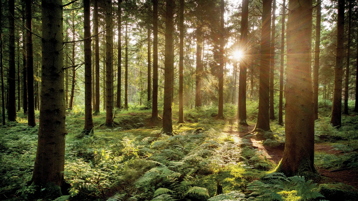 When is the Spring Equinox in Australia? - The Australian Women's Weekly