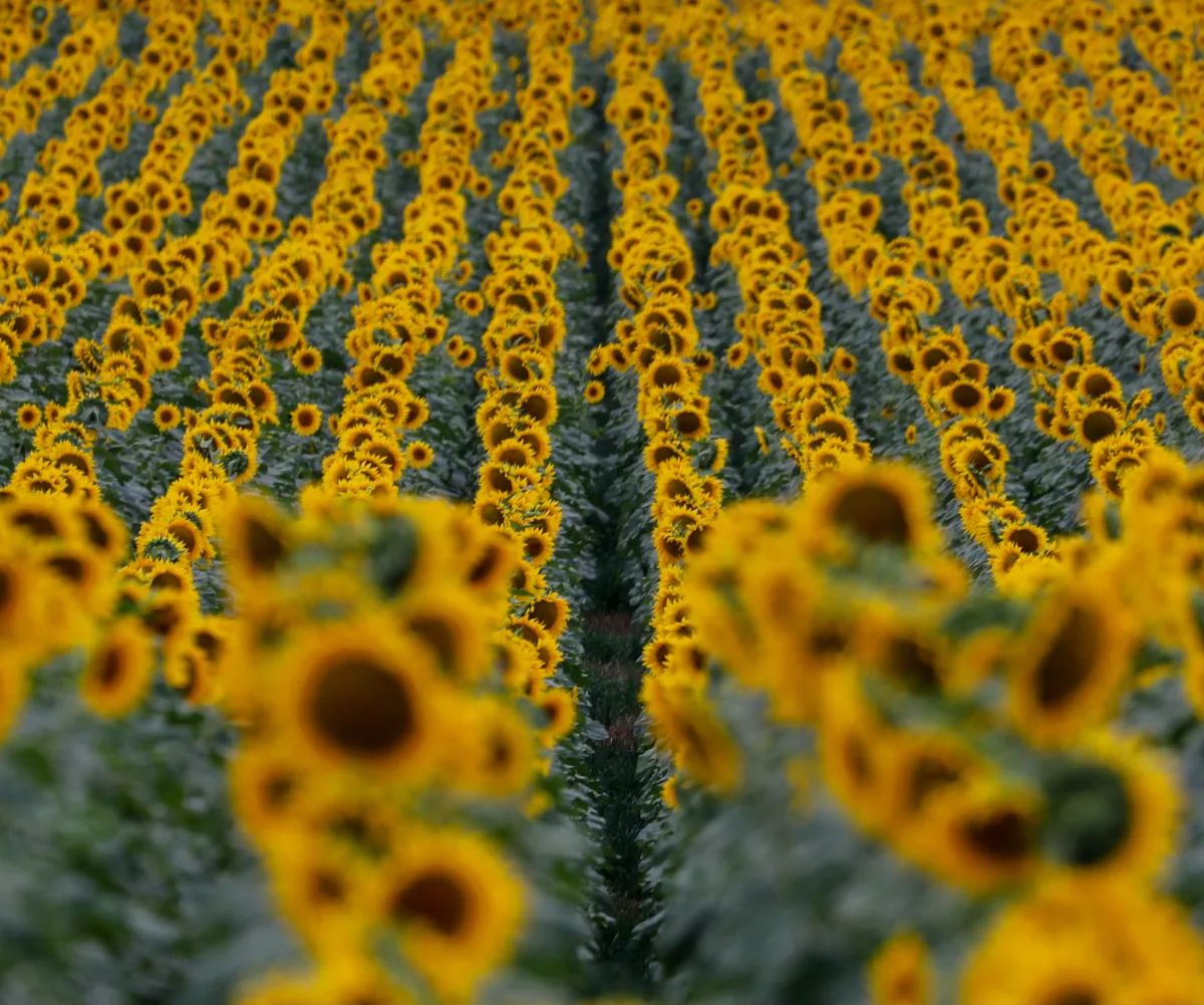 When is the Spring Equinox in Australia? - The Australian Women's Weekly