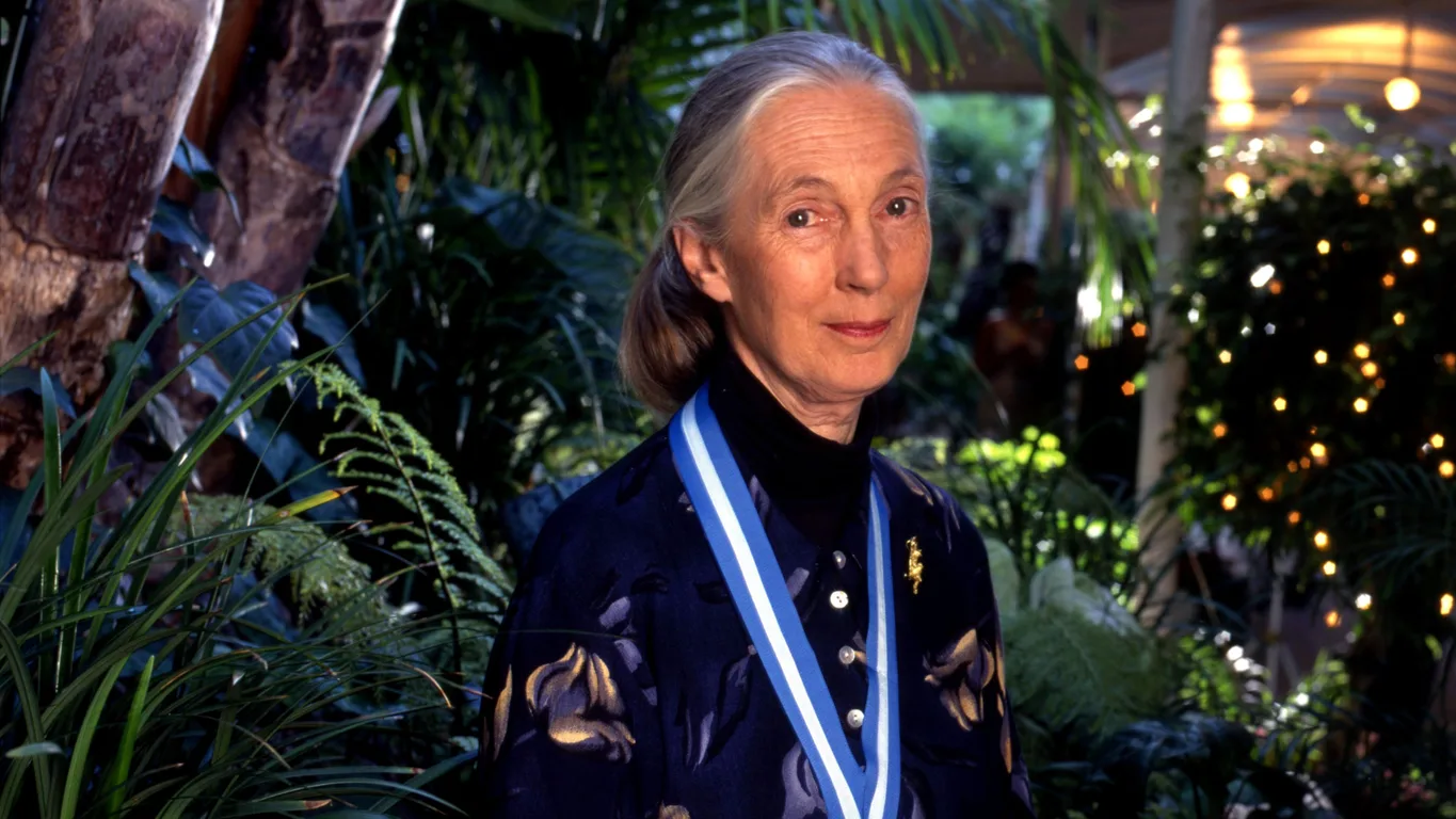 Tributes for conservationist Jane Goodall flood in - The Australian ...