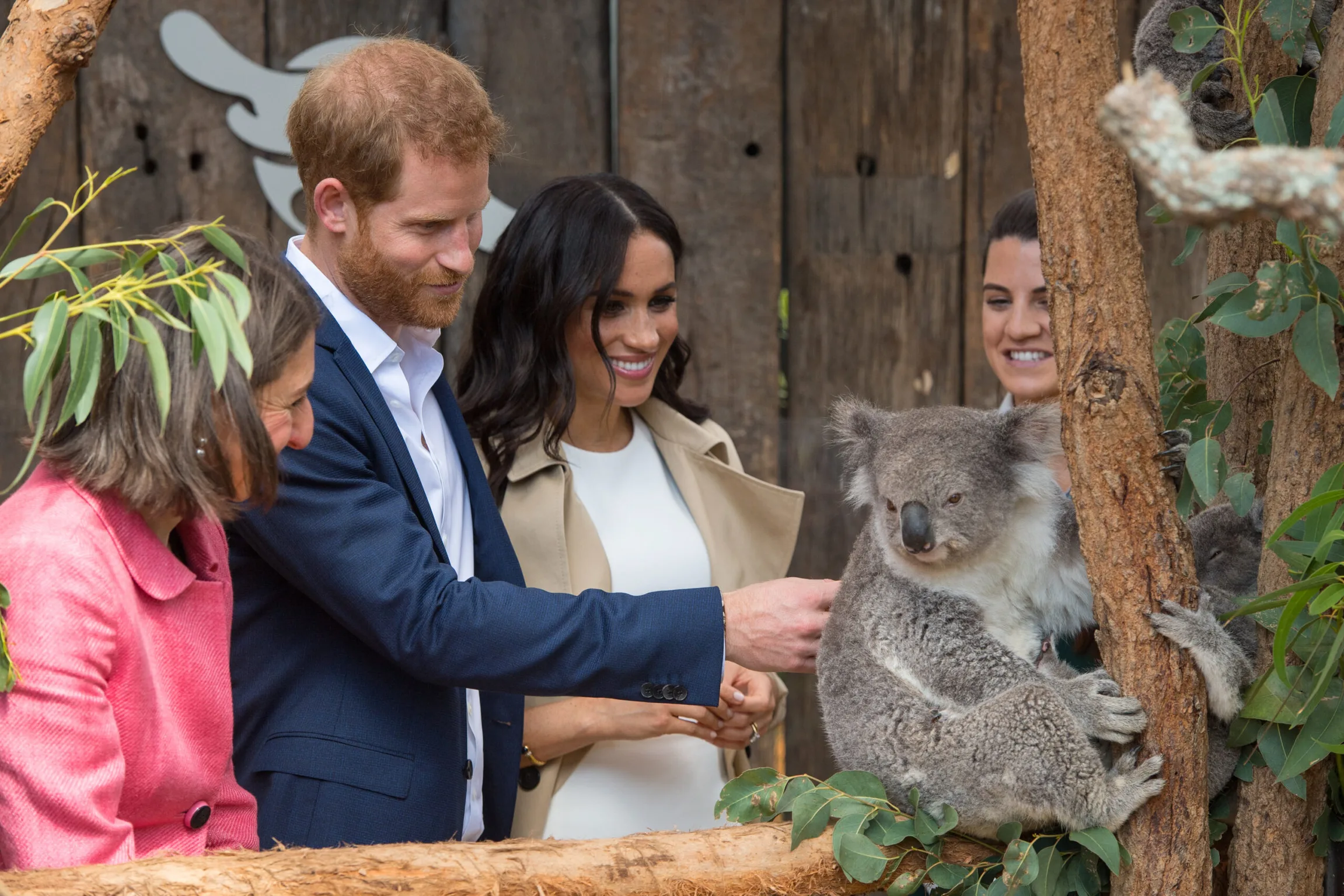 Prince Harry and Meghan Markle's Australia itinerary confirmed - The ...