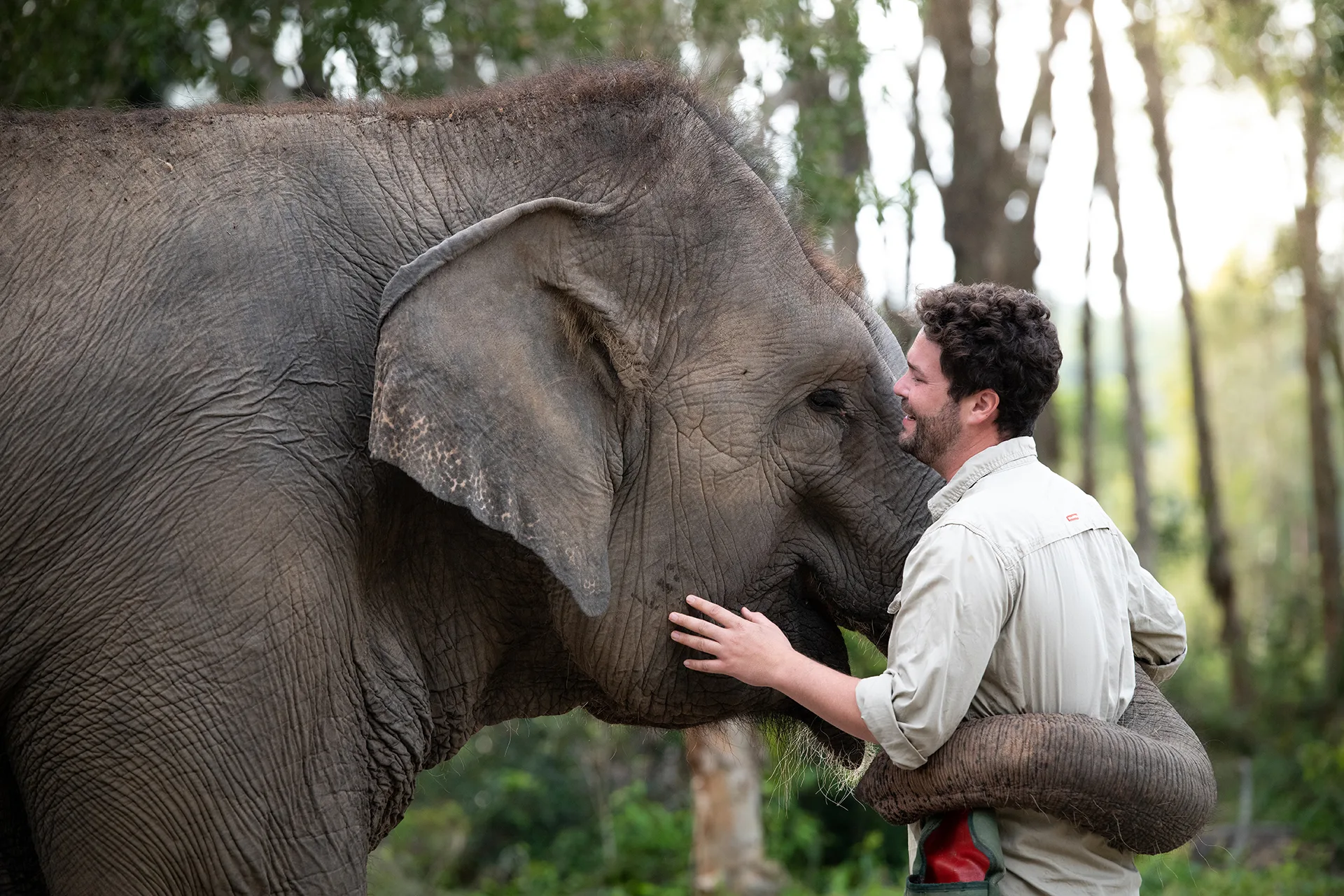 Christmas at Australia Zoo with Luke Reavley - The Australian Women's ...