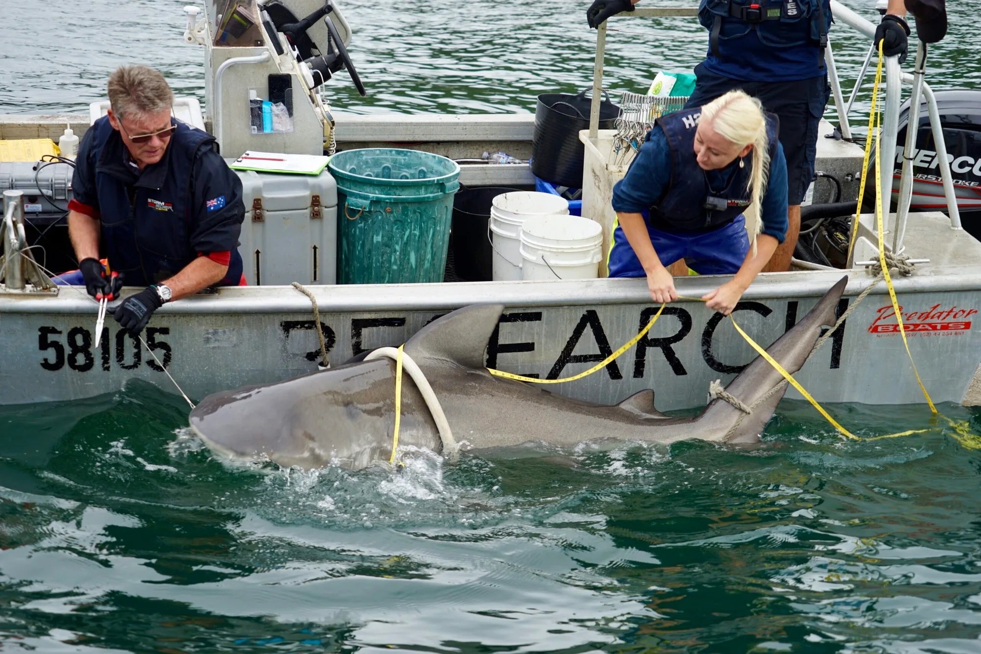 How to stay safe from a shark attack - The Australian Women's Weekly
