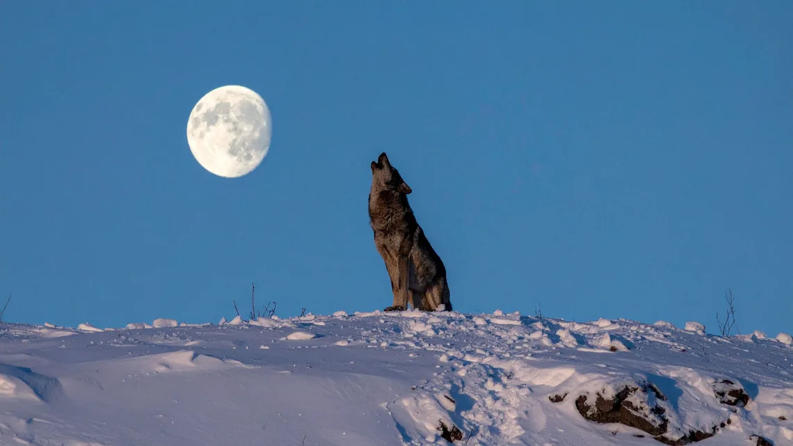 Snow Moon: What does the February Full Moon mean for you? - The ...