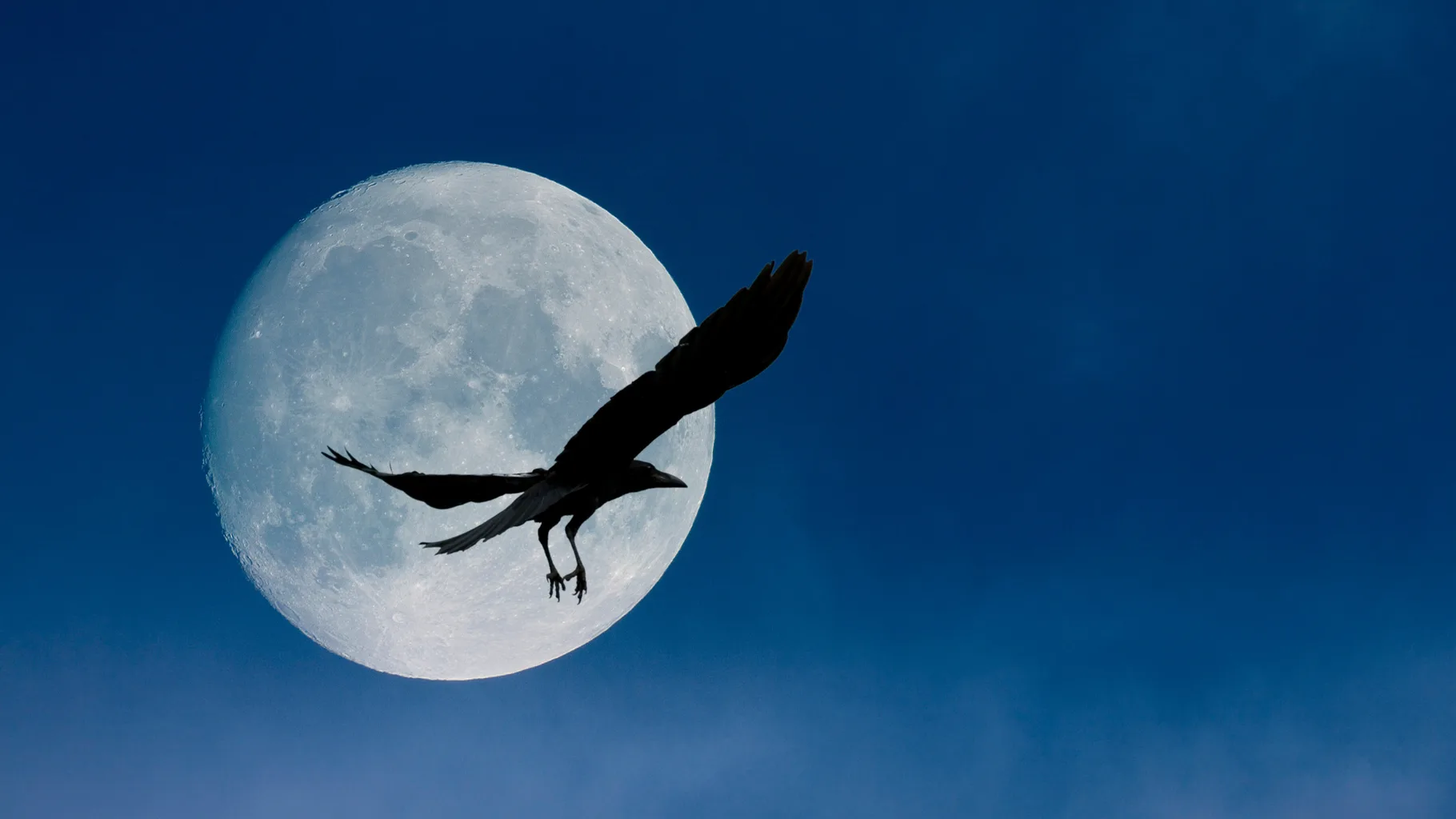 Worm Moon, Crow Moon: How will the March Full Moon affect you? - The ...