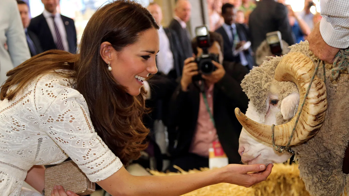 The Royal Easter Show 2026: Everything you need to know about