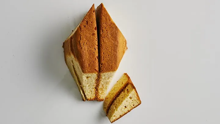 Cockatoo cake | Women's Weekly Food