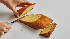 Cockatoo cake | Women's Weekly Food