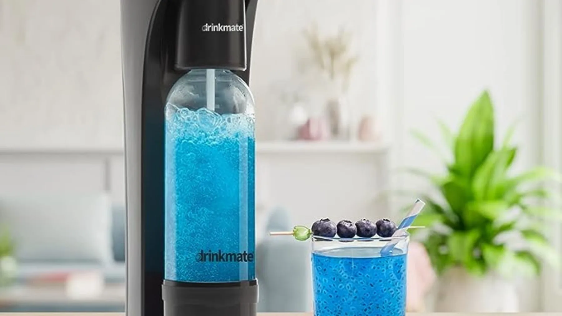 6 Best Sparkling Water Makers & Soda Makers 2024