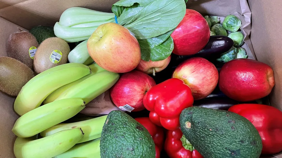 The Produce Delivery That’s 30% Cheaper Than Supermarkets | Women's ...