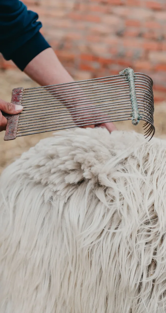 What Is Cashmere Wool? Your Ultimate Guide To The Luxe Fabric| marie claire