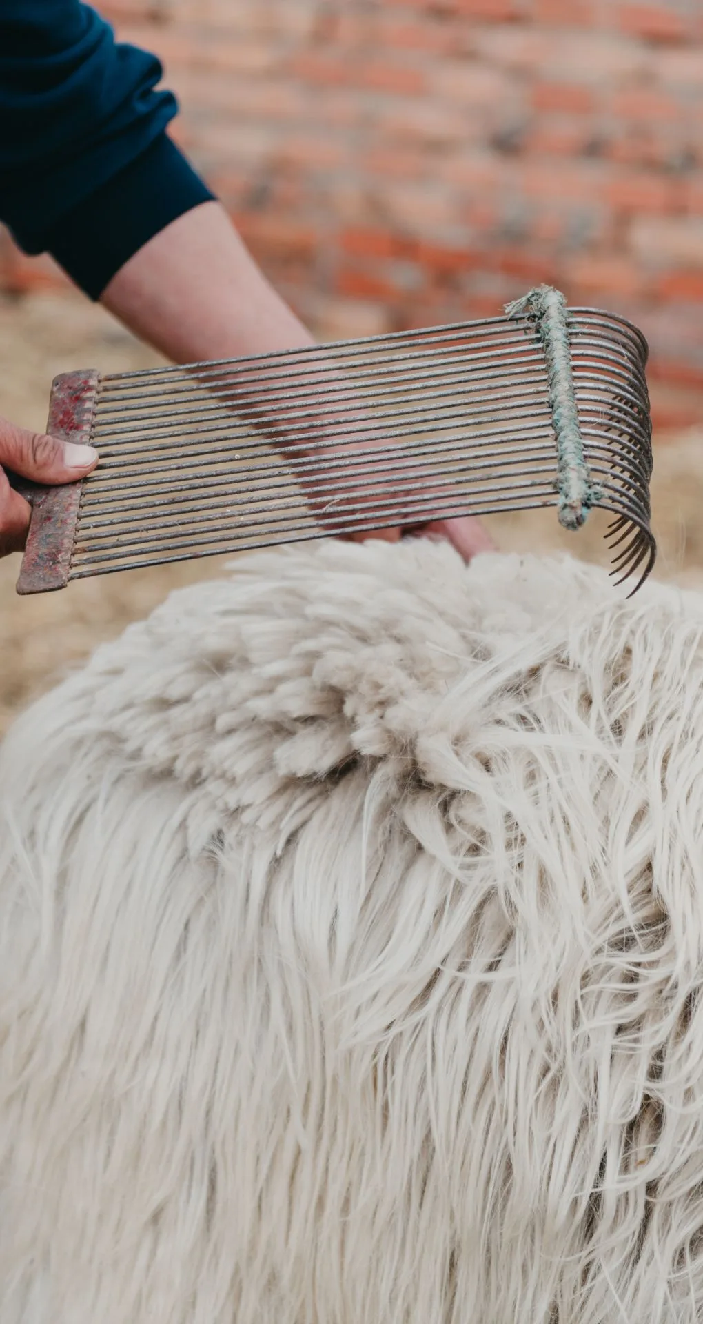 What Is Cashmere Wool? Your Ultimate Guide To The Luxe Fabric| marie claire