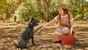 Craig Silvey's 'Runt' Movie Trailer With Celeste Barber Is Here| marie ...